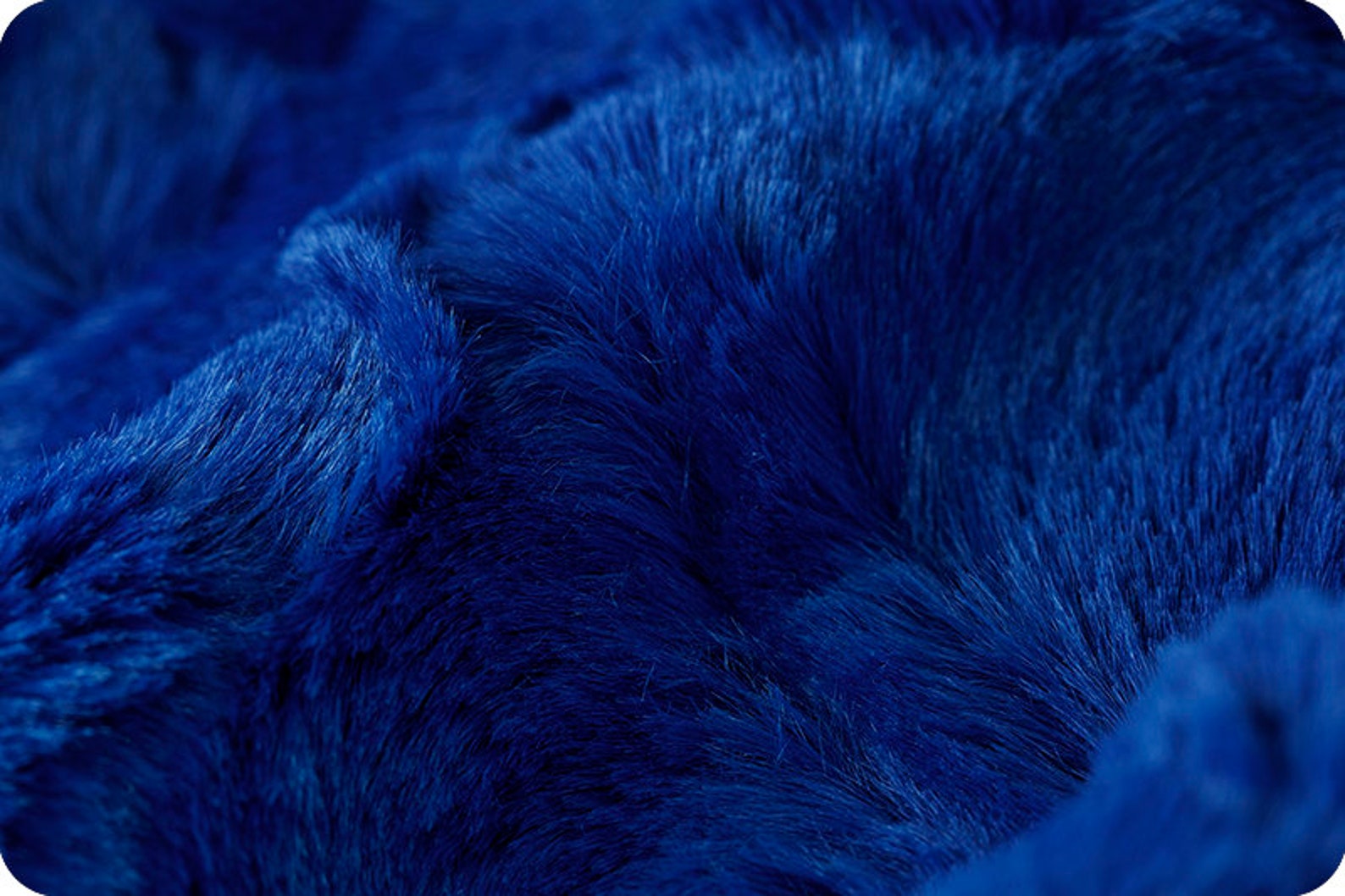 Luxe Cuddle® Hide in Royal Blue MINKY Fabric From Shannon | Etsy