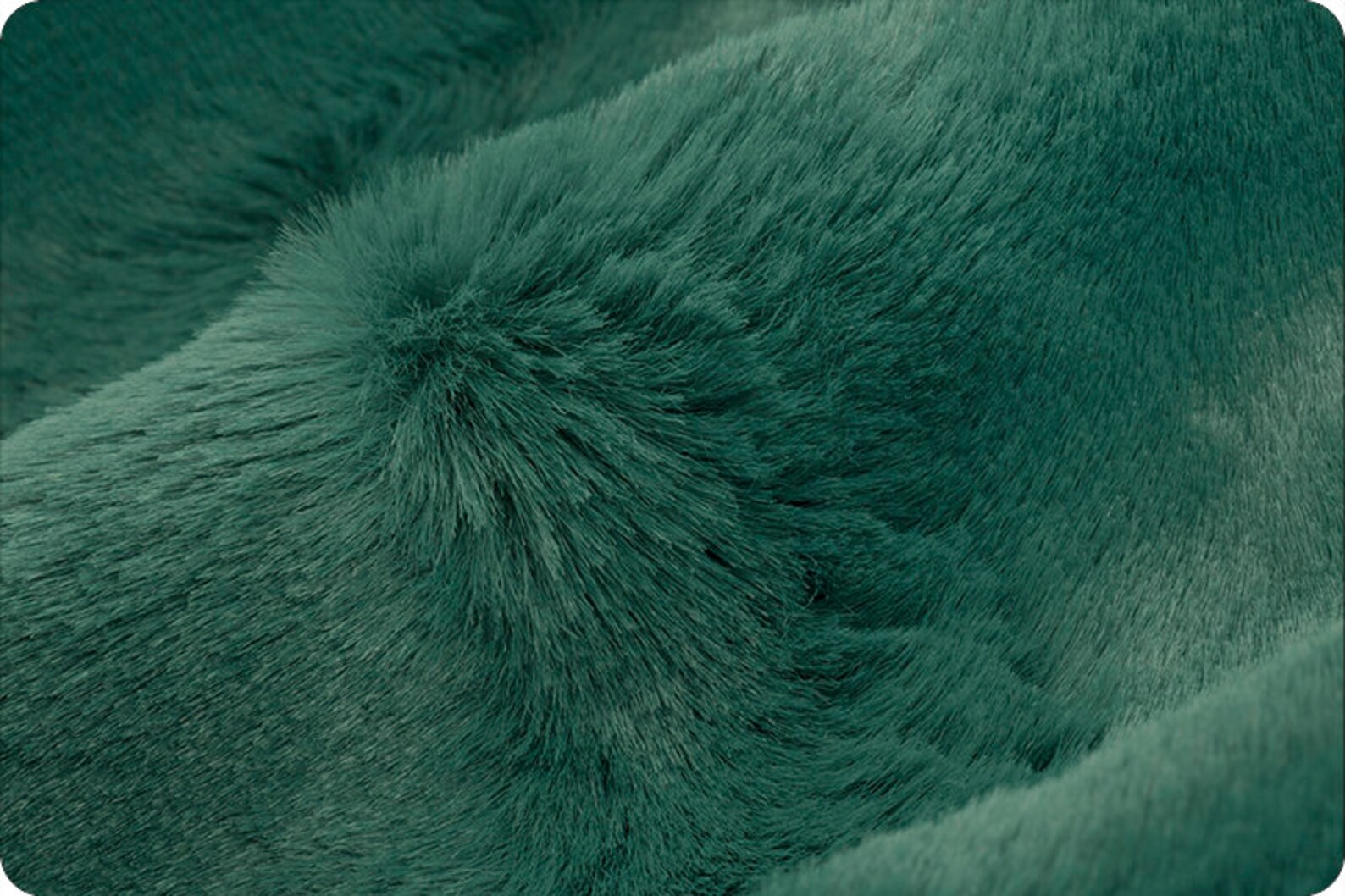 Luxe Cuddle® Hide in Spruce Green Fur MINKY Fabric From Shannon Fabrics ...