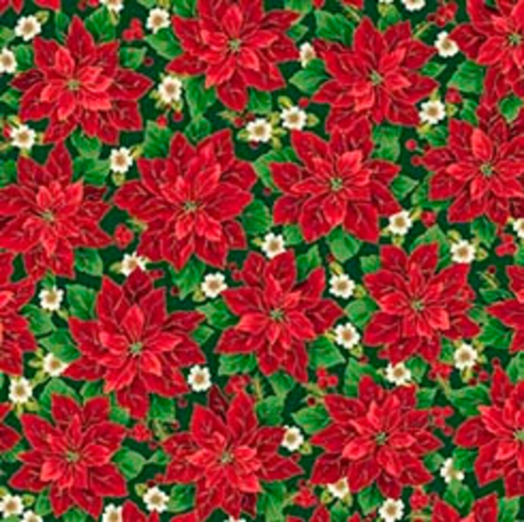 Packed Poinsettias in Forest From the Poinsettia Symphony Collection ...