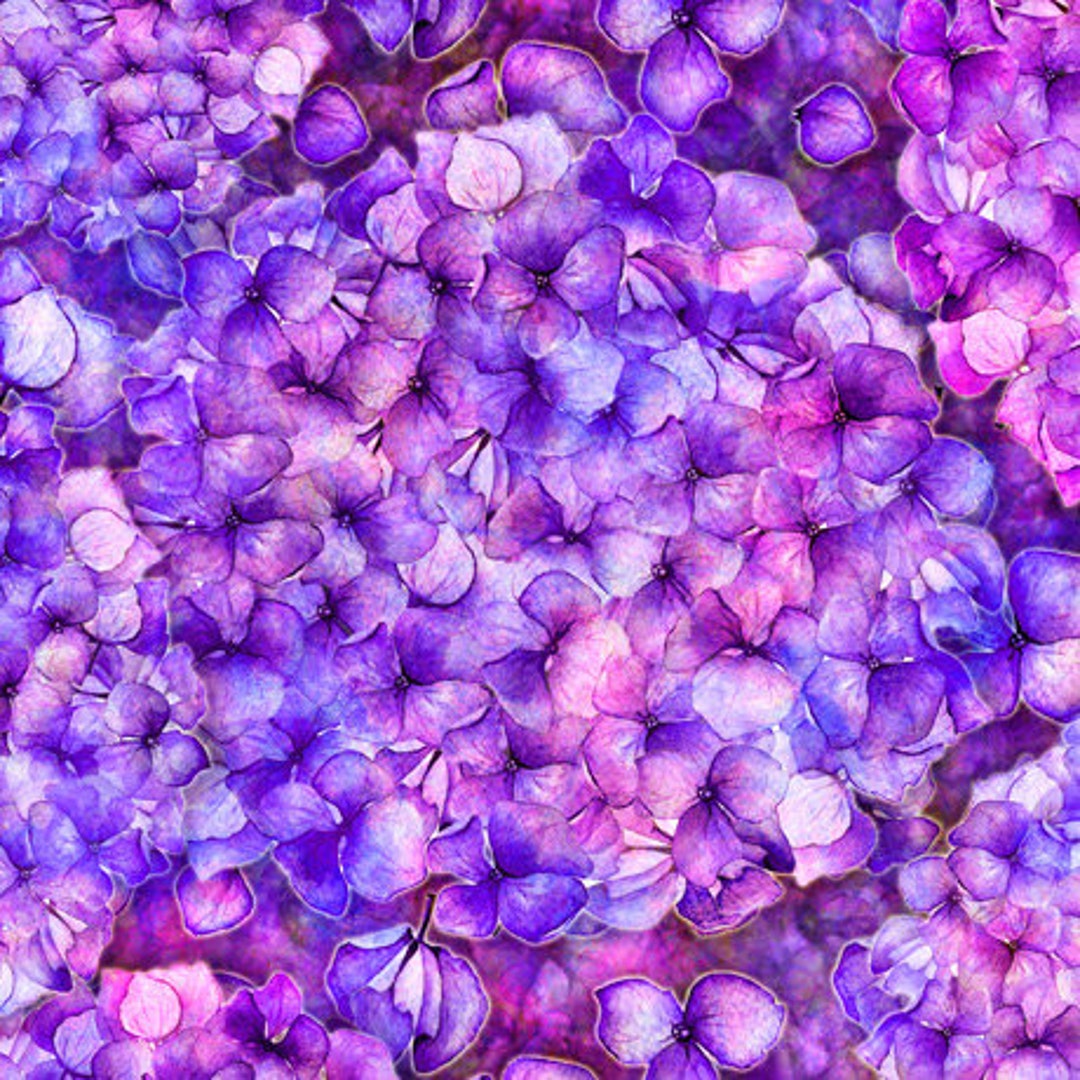 Hydrangeas in Purple From the Blossom Collection by QT Fabrics- 100% ...