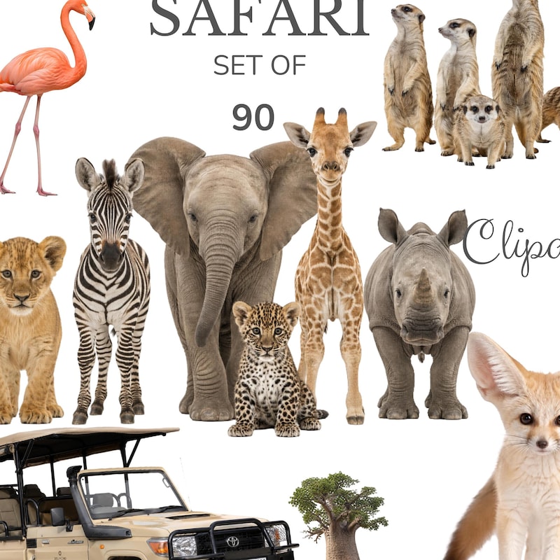 Animal Prints Real - Etsy