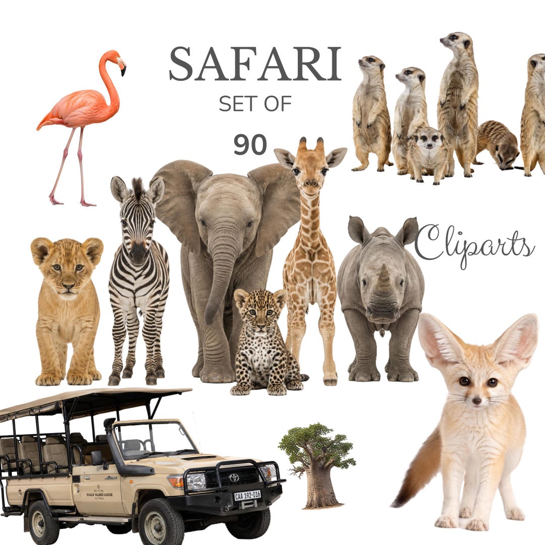 Safari Animals Clipart Bundle PNG, Realistic African Animals - Etsy