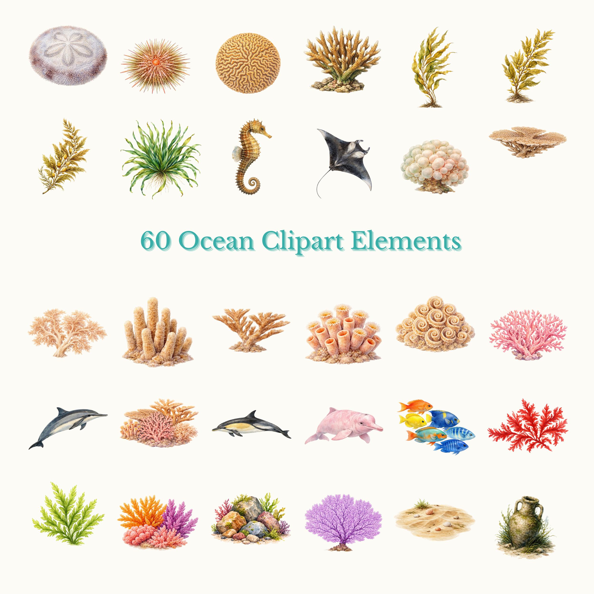 Ocean Animals Clipart Bundle, Realistic Montessori, Under the Sea PNG ...