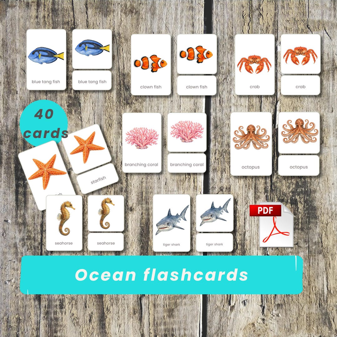 Ocean Animal Flashcards Real Images Montessori 3-part Cards Printable ...