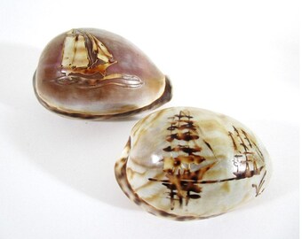 Carved Seashell - Etsy