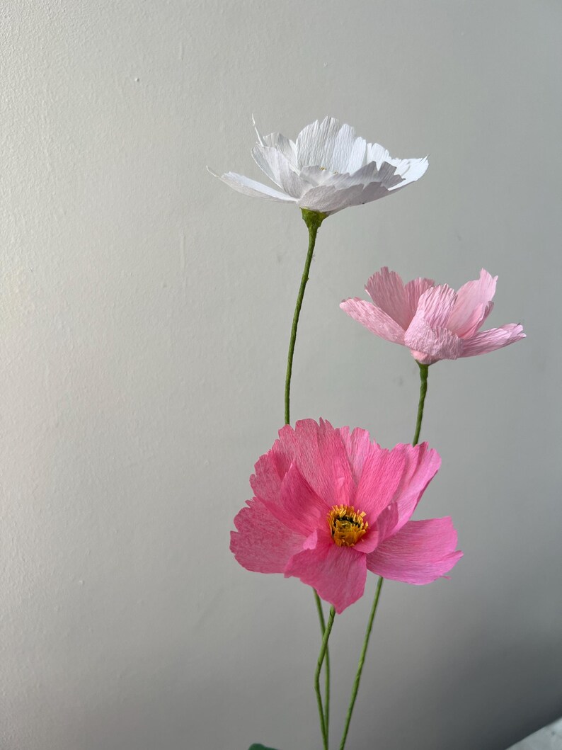 Cosmos Paper Flowers - Etsy