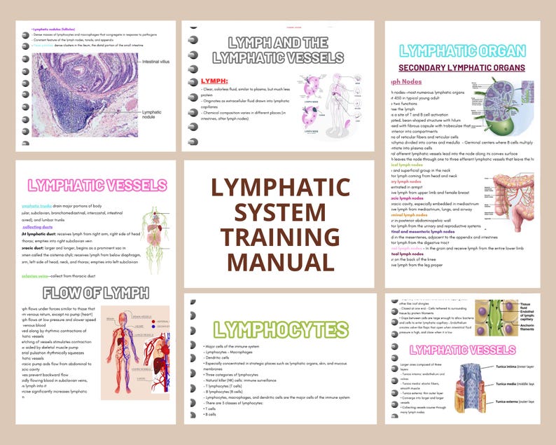 Lymphatic System Training Manual Canva Editable Course Ebook 2026 - Etsy
