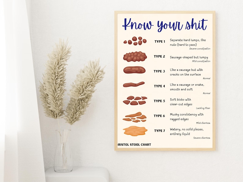 Bristol Stool Chart Printable | Gut Health, Bowel Movement (PDF PNG JPG ...
