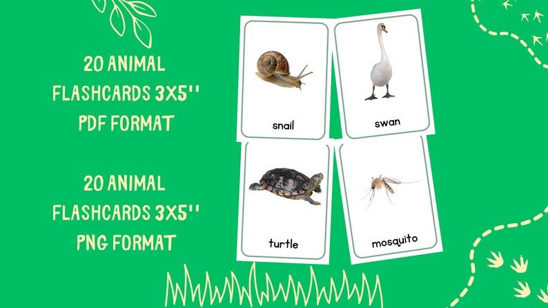 20 River Animals Flashcards | Printable Educational Cards for Kids ...