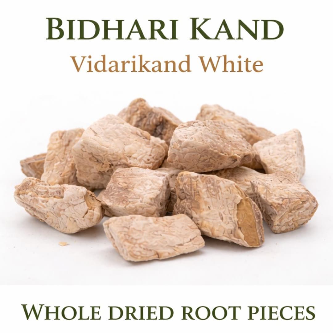 Bidhari Kand Vidarikand White | Indian Kudzu | Pueraria Tuberosa ...