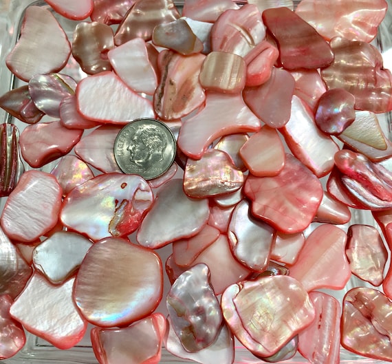 Pink Pearl Shell Pieces Mother of Pearl Mosaic Supply O2 - Etsy