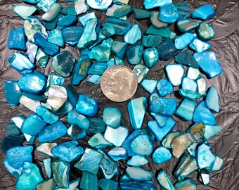 Aqua Blue Shell - Etsy