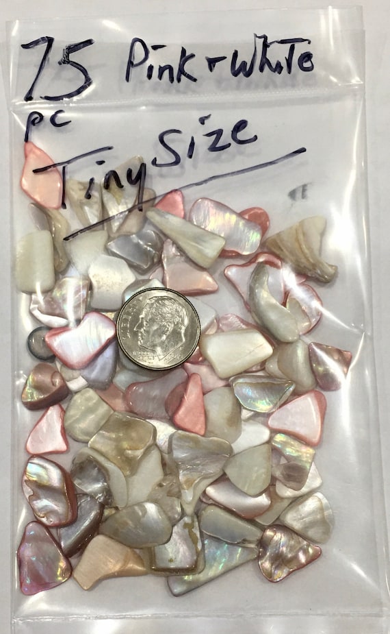 Mother Of Pearl Shell Pieces