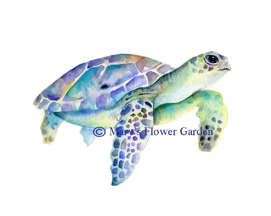 Sea Turtle Painting, Sea Turtle Watercolor, Green Sea Turtle, Beach ...