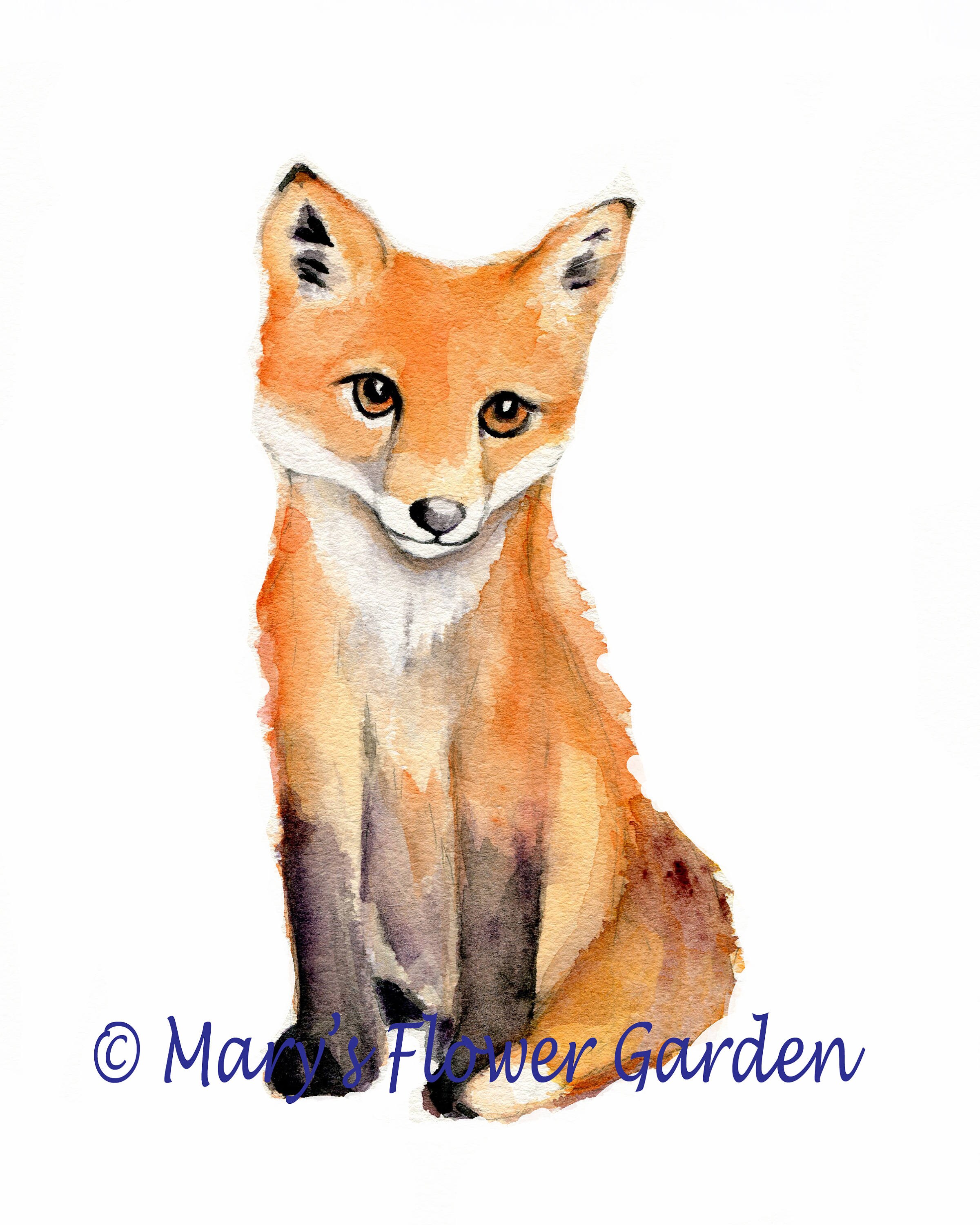 Swift Fox Girl Drawings