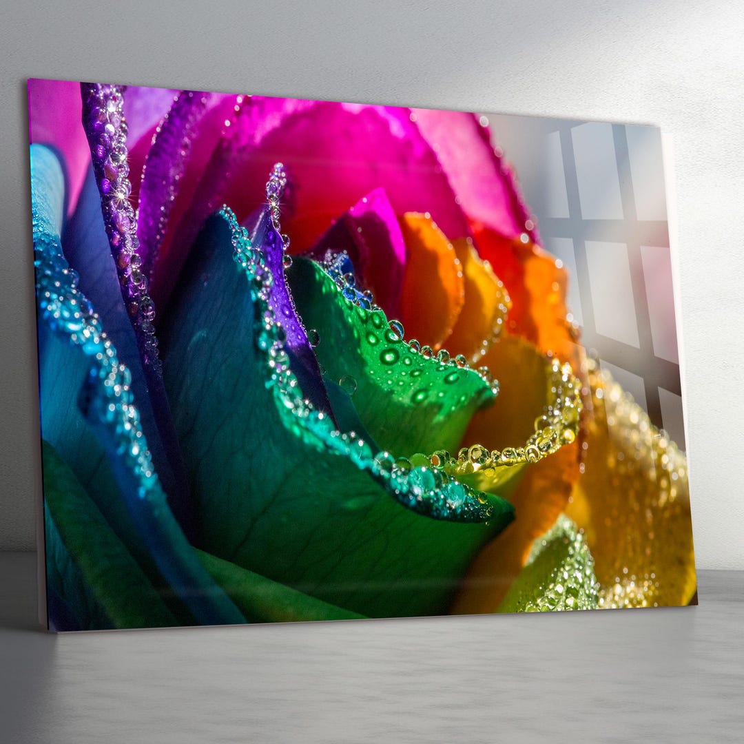 Tempered Glass Wall Art - Modern Rose Illustration - Extra Large Floral ...