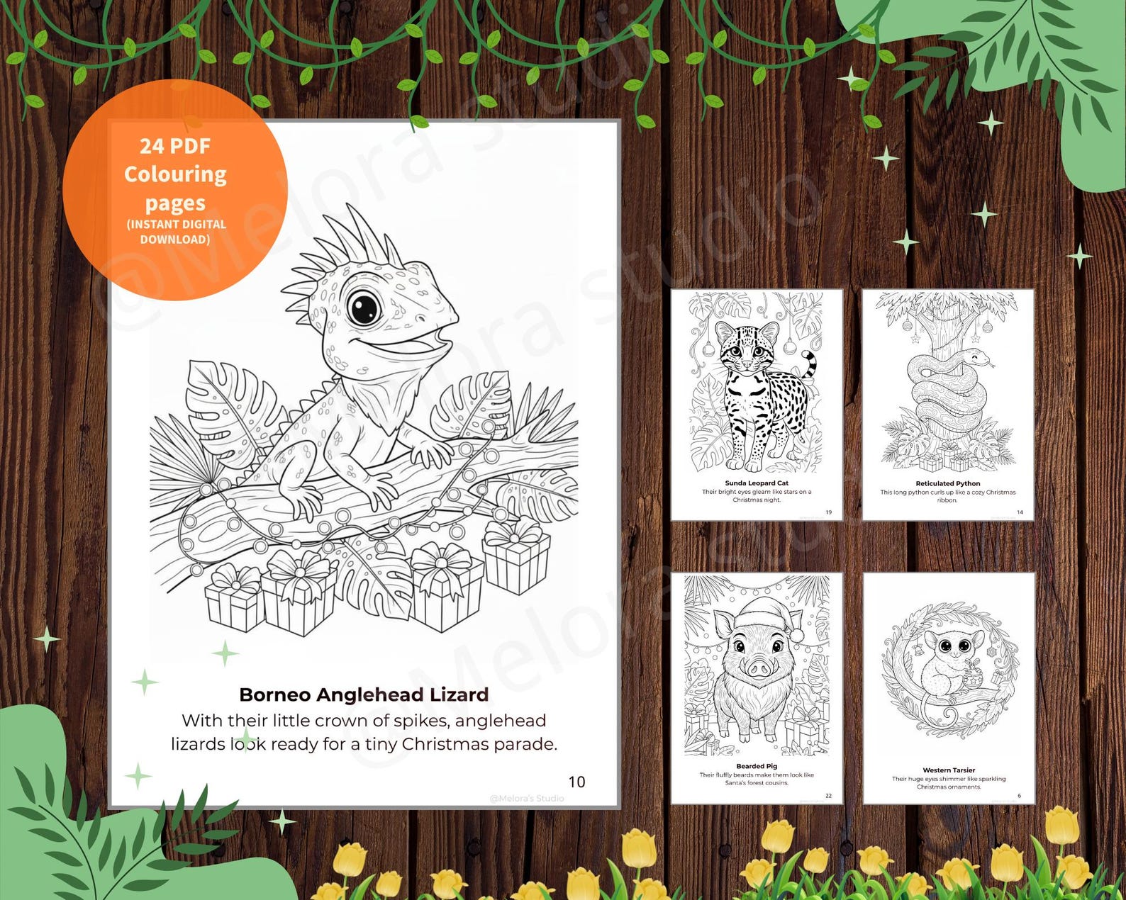 Borneo Christmas Wildlife Coloring Book for Kids | Tropical Animals ...