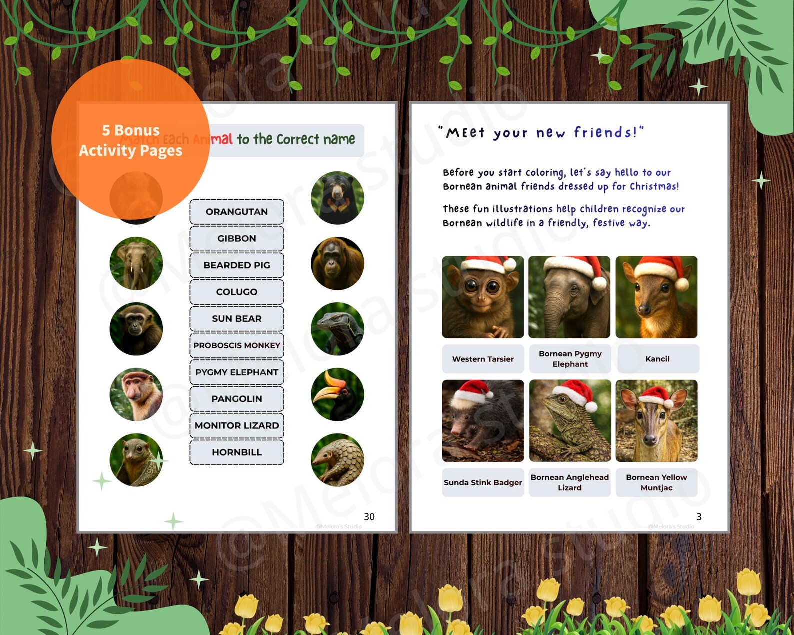 Borneo Christmas Wildlife Coloring Book for Kids | Tropical Animals ...