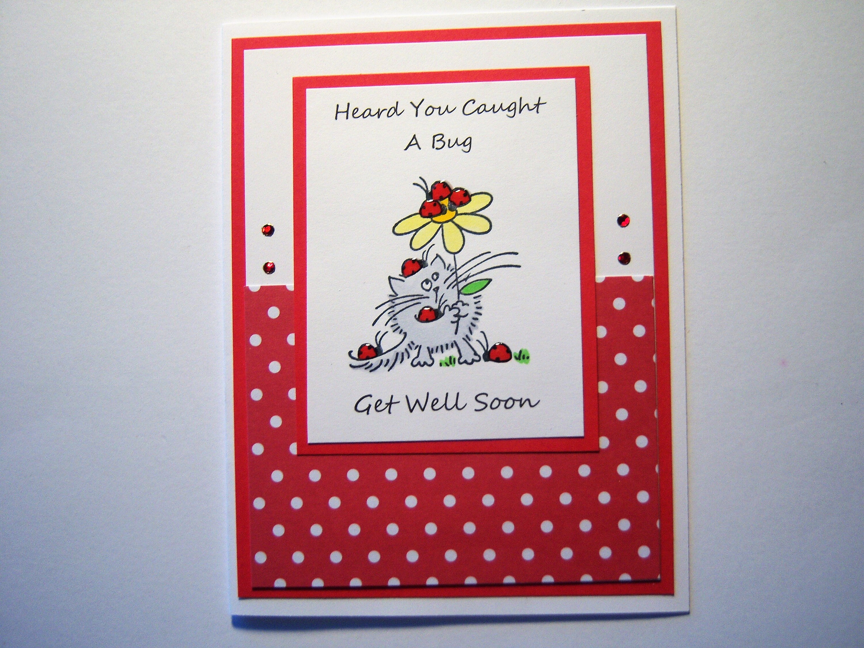 Fluffy With Ladybugs Get Well Card - Etsy