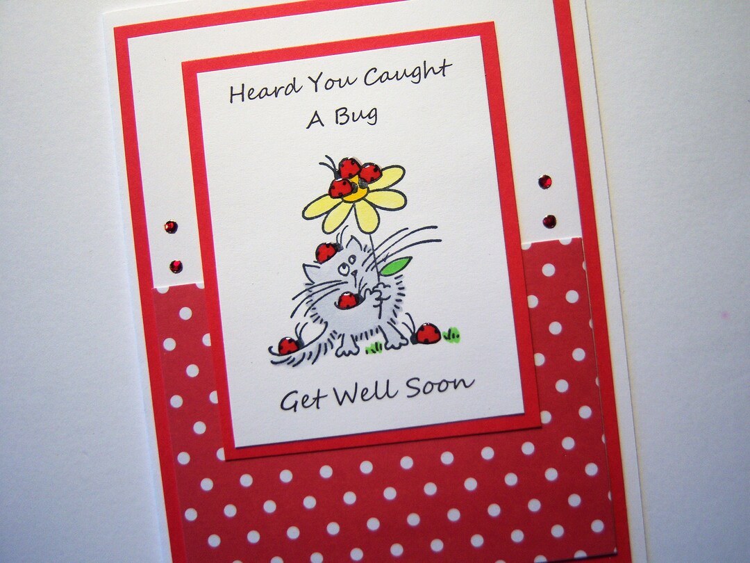 Fluffy With Ladybugs Get Well Card - Etsy