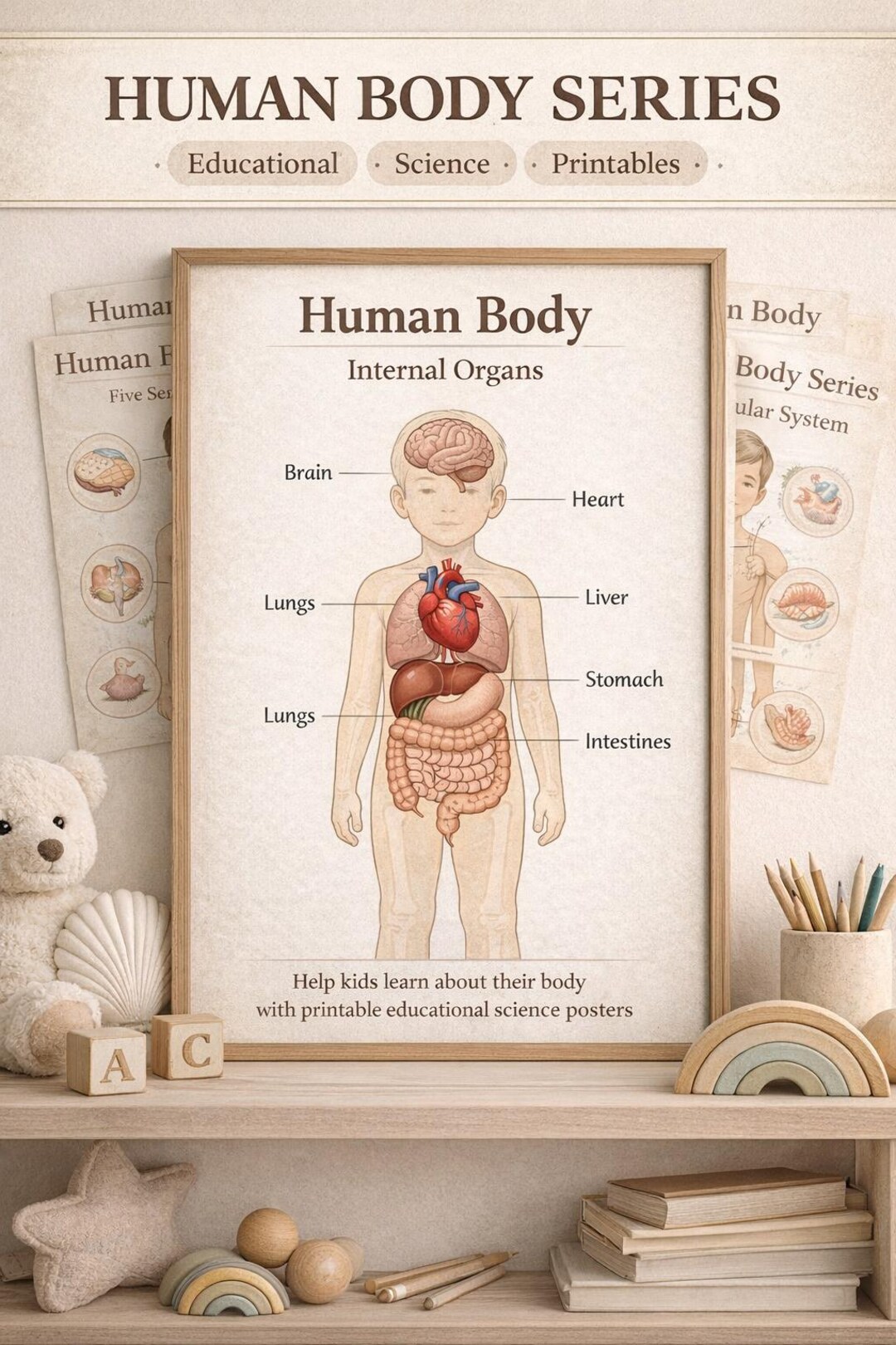 Kids Anatomy Poster | Human Body Internal Organs, Science Classroom ...