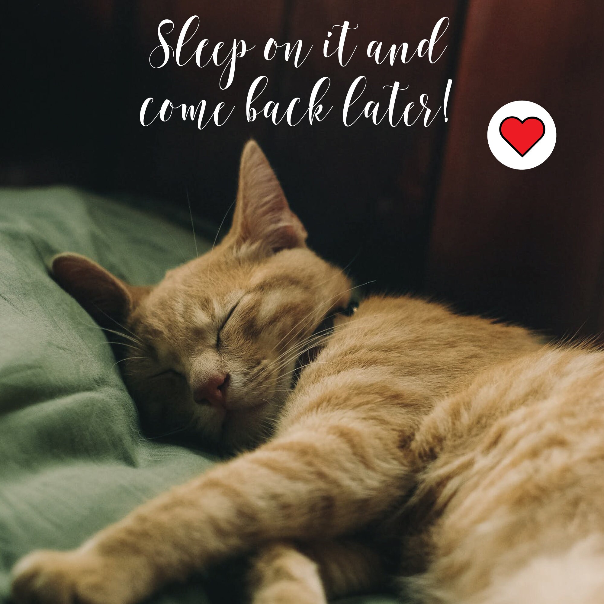 How to Letter Mirrors / Mirror Lettering / Mirror Seating Chart DIY - Etsy