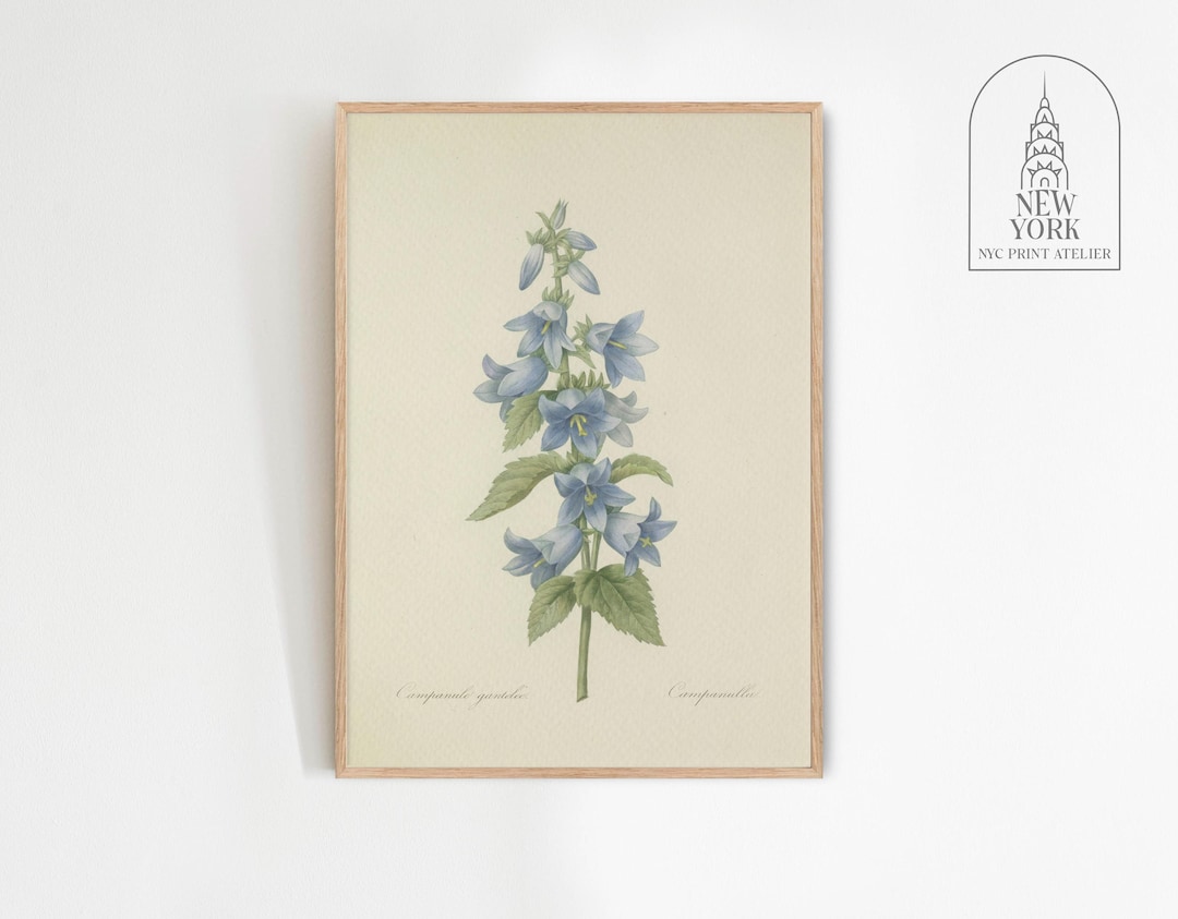 Vintage Blue Botanical Print | Blue Flower Wall Art | Blue Wildflower ...