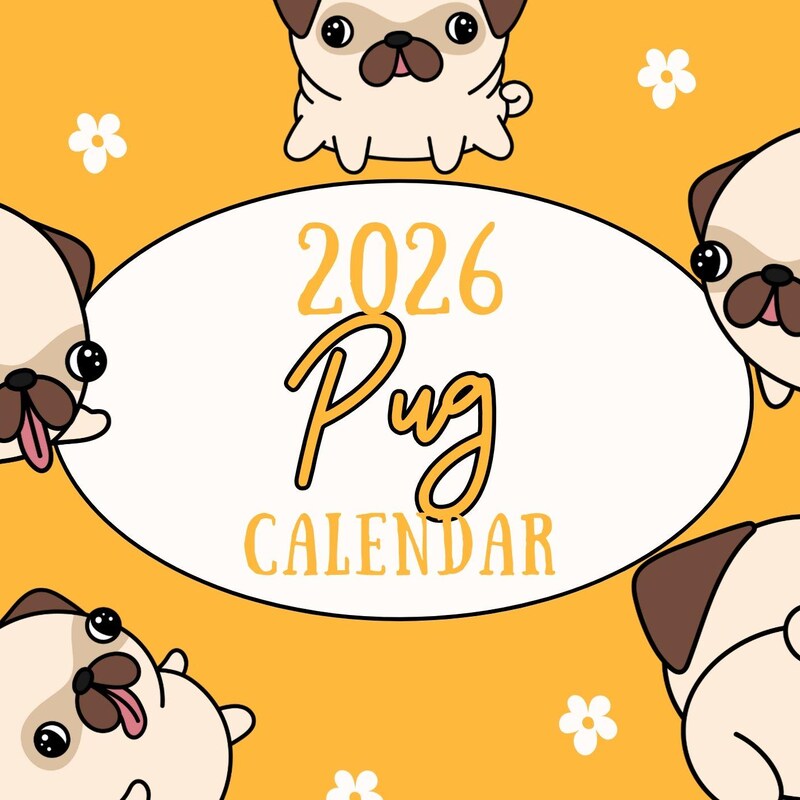 Pug Calendars 2026 - Etsy
