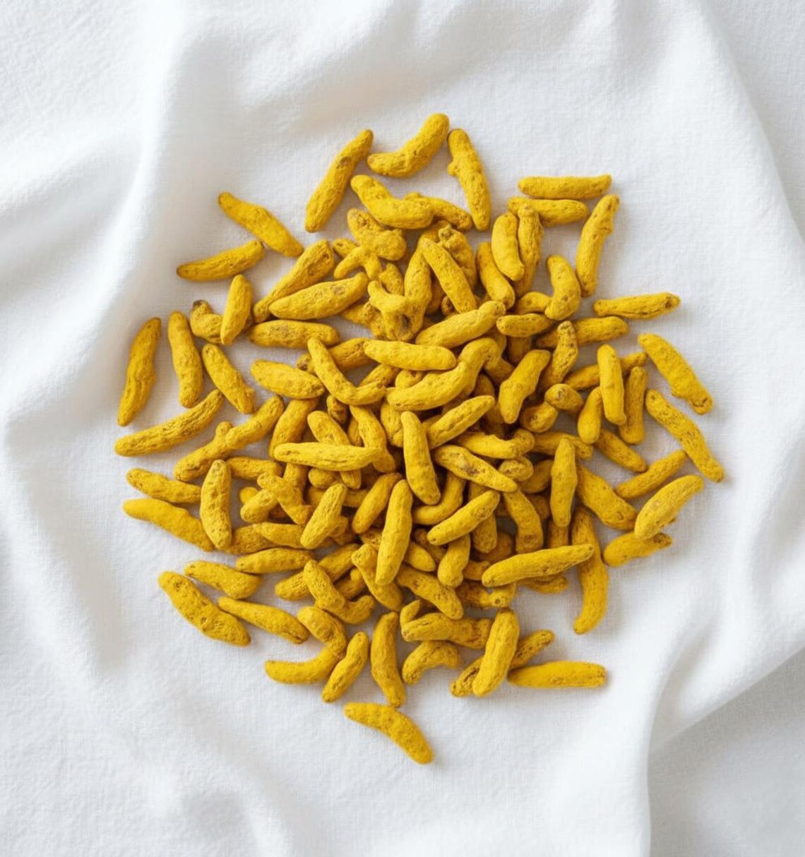 Turmeric Roots ,curcuma Longa Natural Turmeric Dried Rhizome Chunks - Etsy