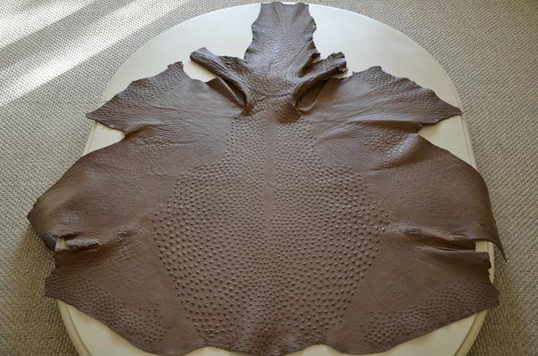 Ostrich Skin - Genuine Grade I Tanned Leather - Chocolate - 16.8 Sq Ft ...