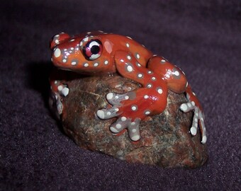 Frog on a rock | Etsy