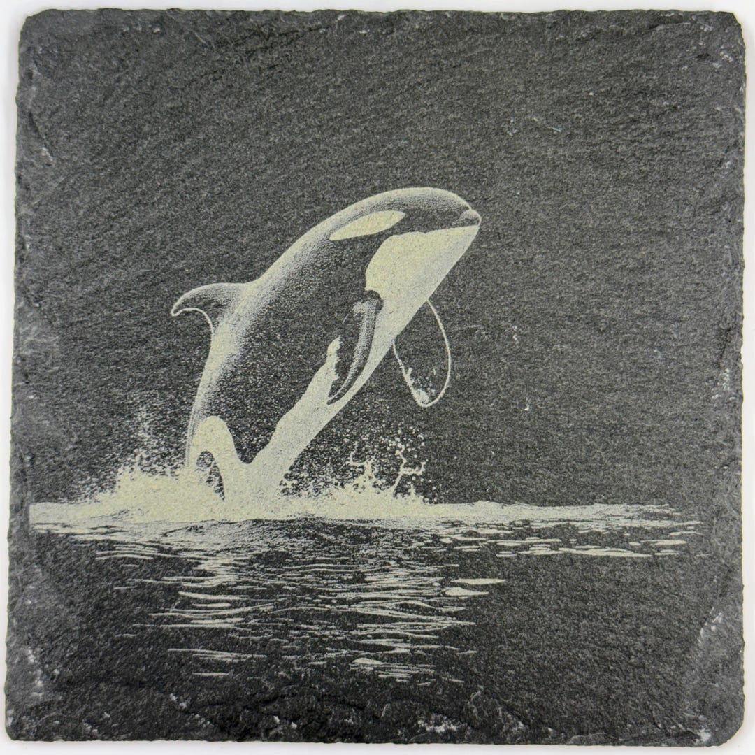 Powerful Orca Rising From the Water – Engraved Slate Coaster - Etsy