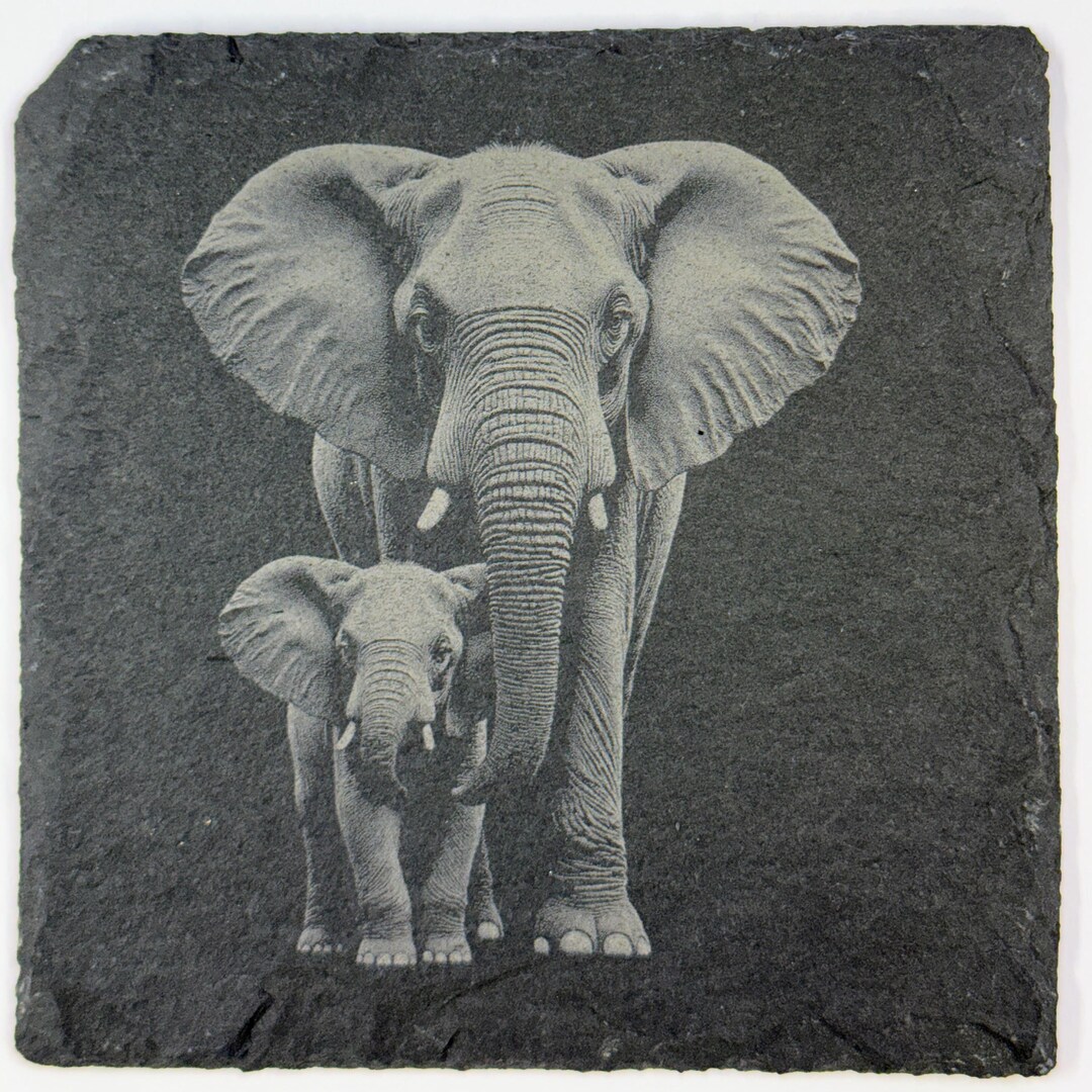 Elephant and Baby Walking Side by Side – Engraved Slate Coaster - Etsy