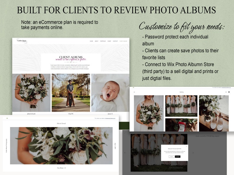 Photography Wix Website Template Design Modern Boho - Client Albums ...