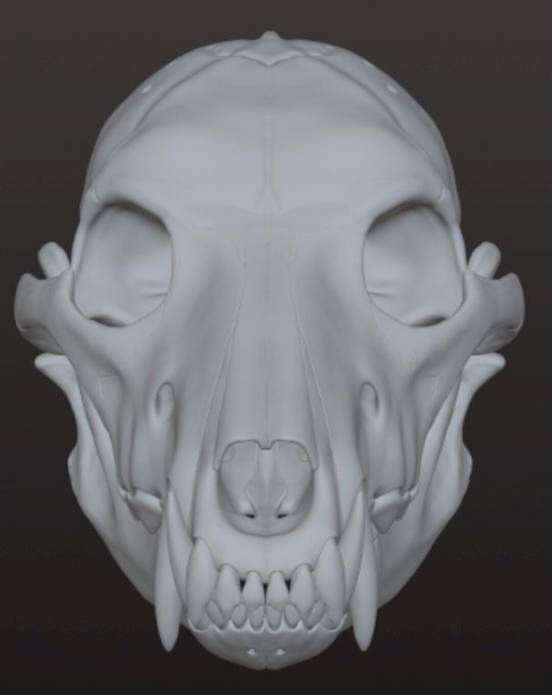 Werewolf Skull Statue Feature Piece STL Digital for Download Realistic ...