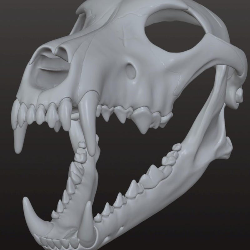 Furry Skull Mask - Etsy