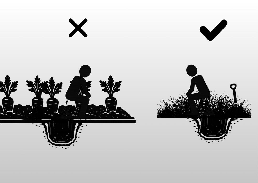 Properly Placing a Garden Toilet – Pit Not Under Plants | Pictogram ...