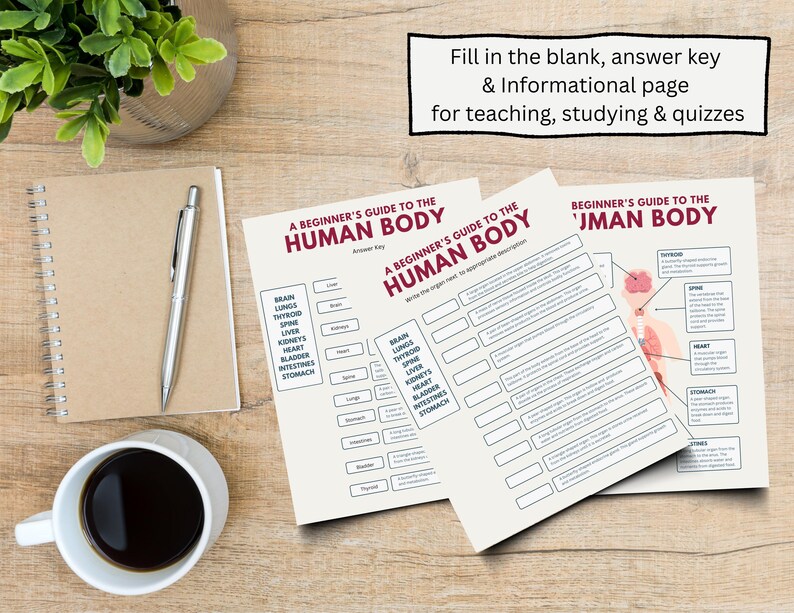 Human Body Worksheets, Anatomy and Body Systems Study Pages, Homeschool ...