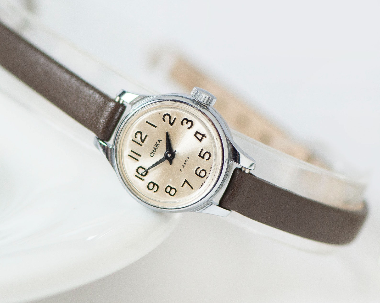 Classic Women Watch Seagull Silver Shade, Delicate Round Lady Micro ...