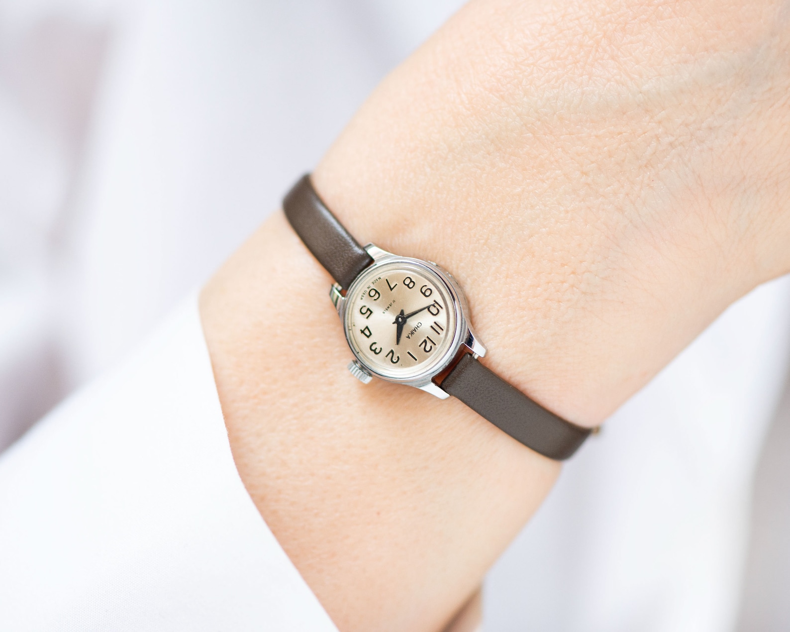 Classic Women Watch Seagull Silver Shade, Delicate Round Lady Micro ...