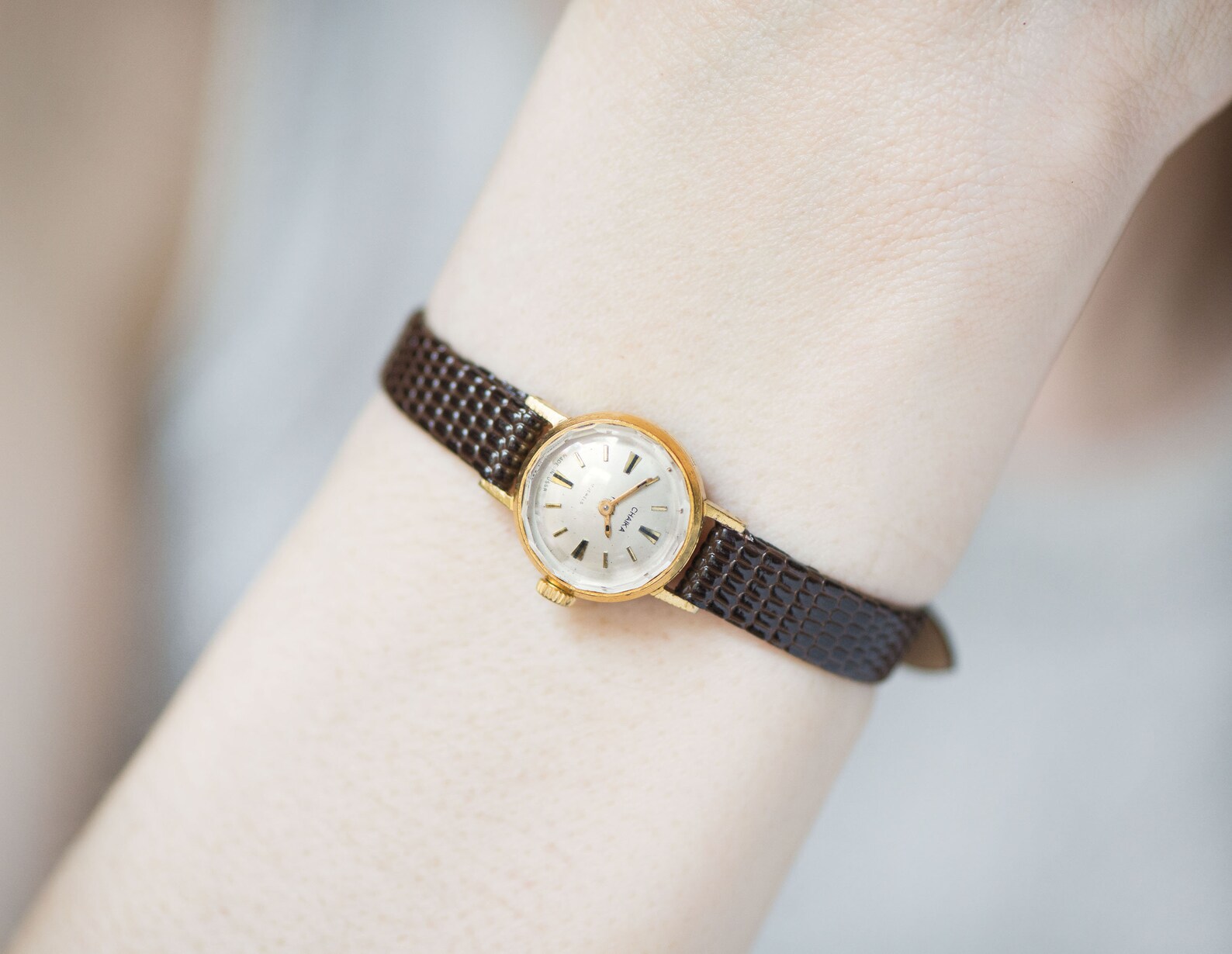 Small Chic Watch for Women Gold Plated Seagull Minimalist - Etsy