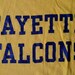Vintage 80s Fayette Falcons Missouri Yellow T Shirt - Etsy