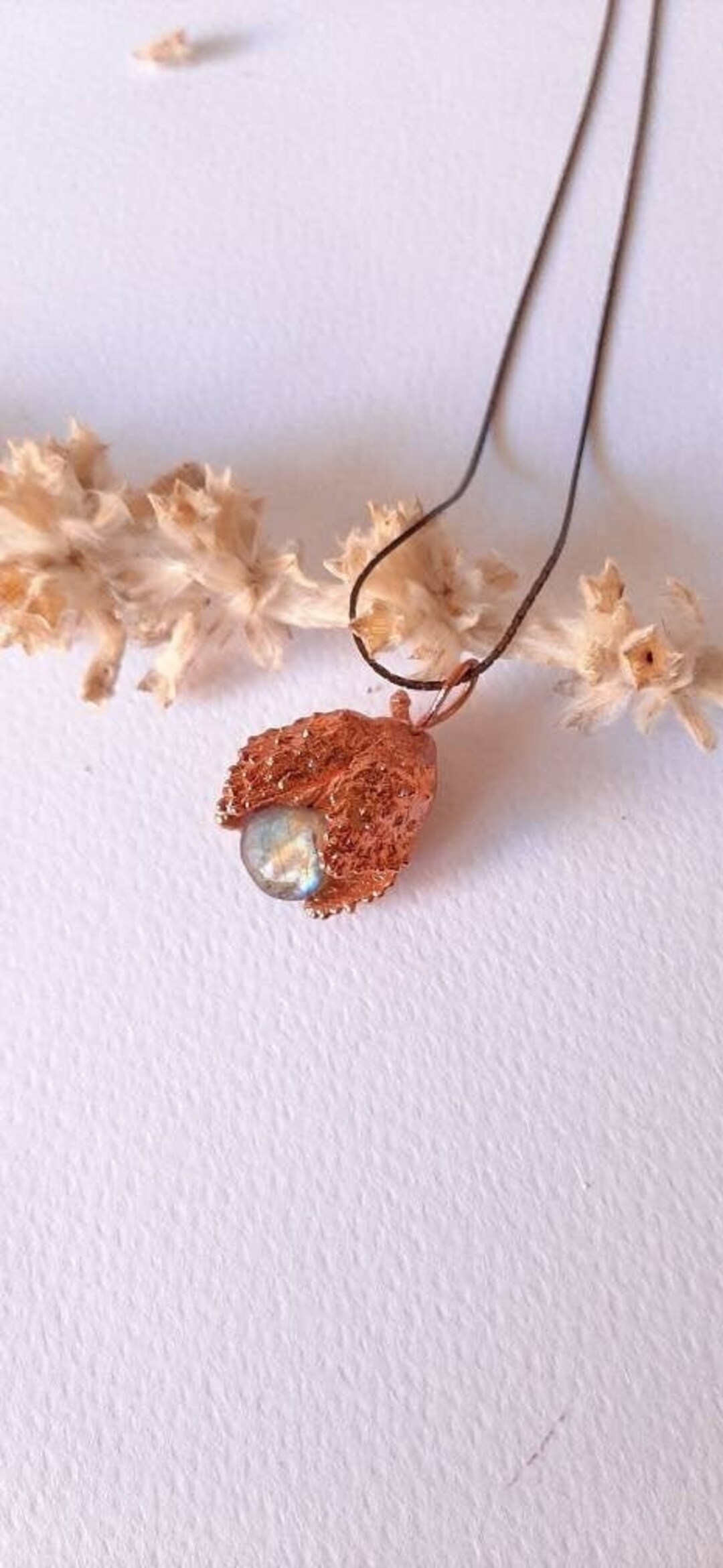 Buy Baccelli Di Semi Di Faggio E Goccia Di Labradorite, Vera Capsula Di ...