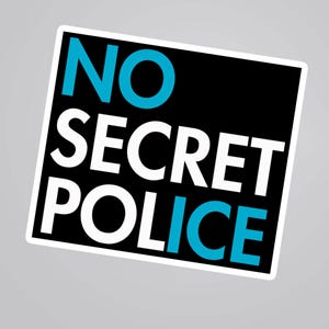 No Secret Police Decal - Etsy