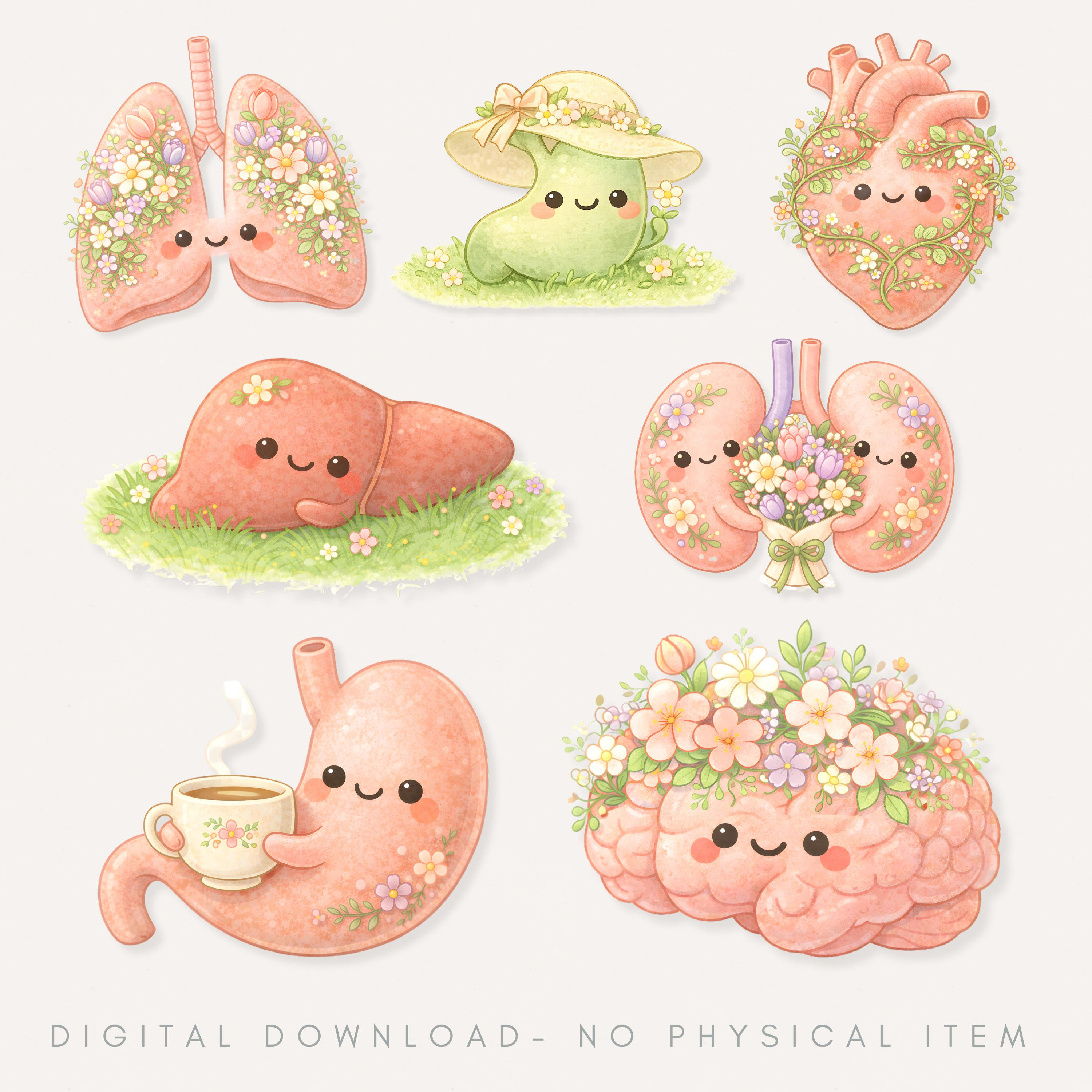 Cute Spring Nurse Clipart Png Bundle, Kawaii Anatomy Organs With ...