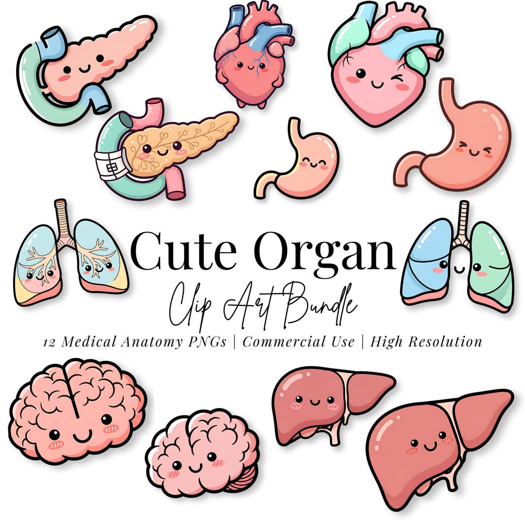 Kawaii Organ Clipart Bundle | Anatomy PNG Illustrations - Etsy UK