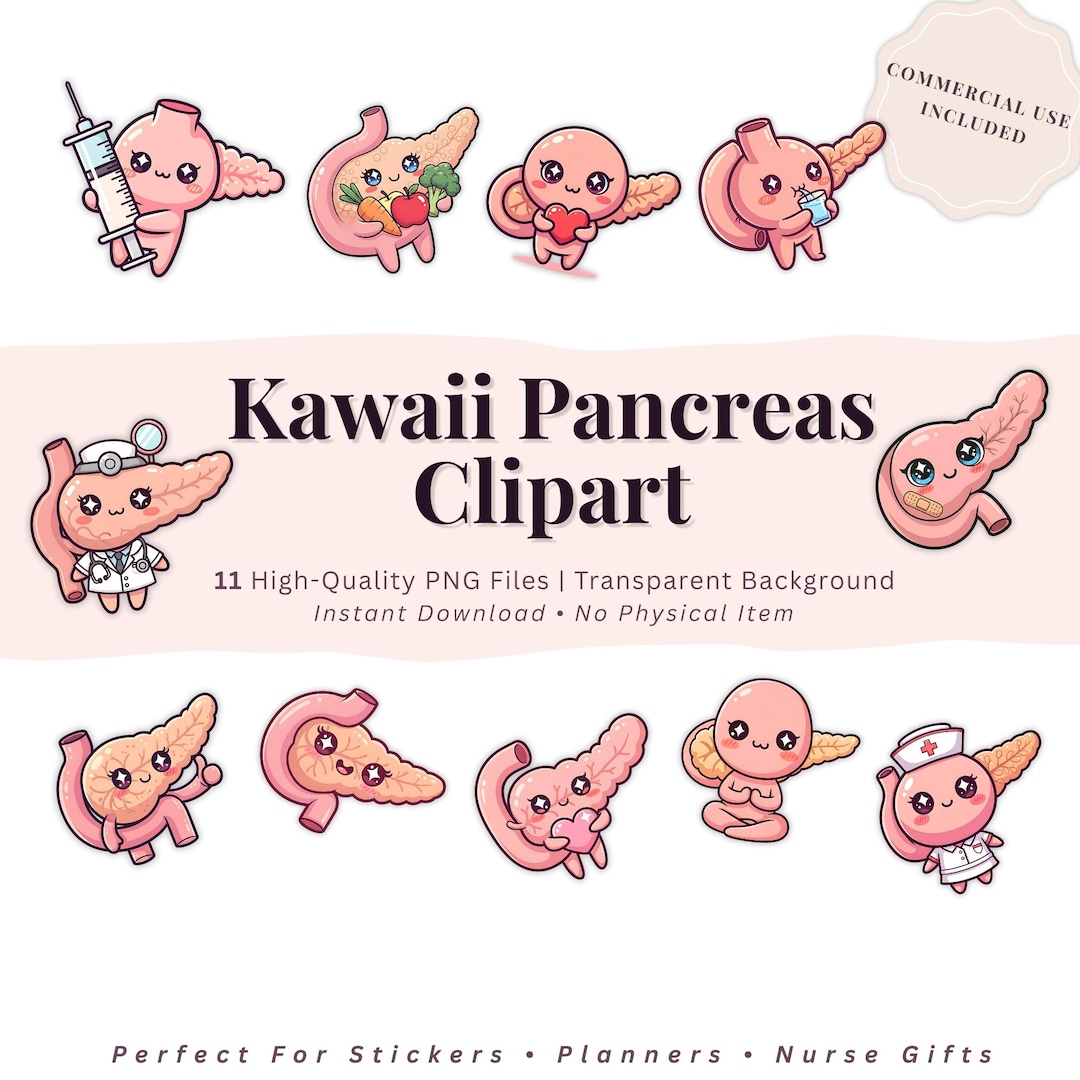 Kawaii Pancreas Clipart | Organ PNG Bundle, Nurse Stickers (commercial ...