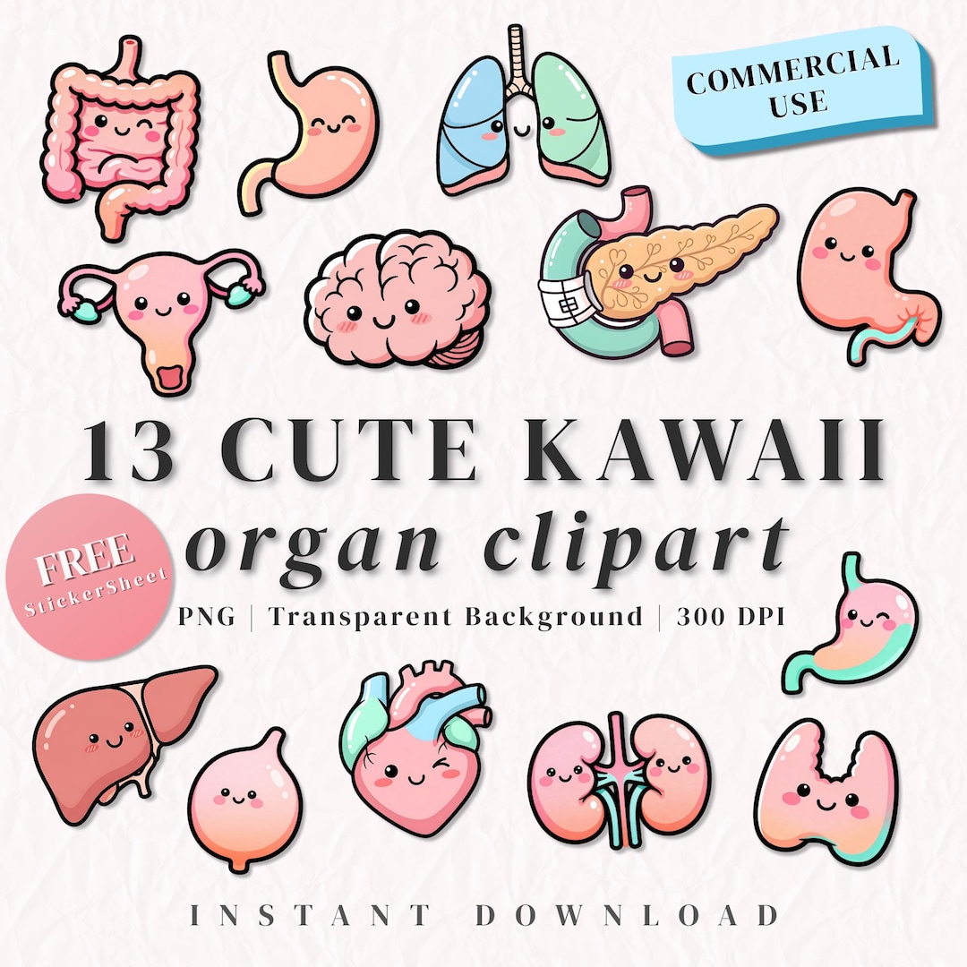 Cute Kawaii Organ Clipart PNG Bundle | Medical Anatomy Clipart ...