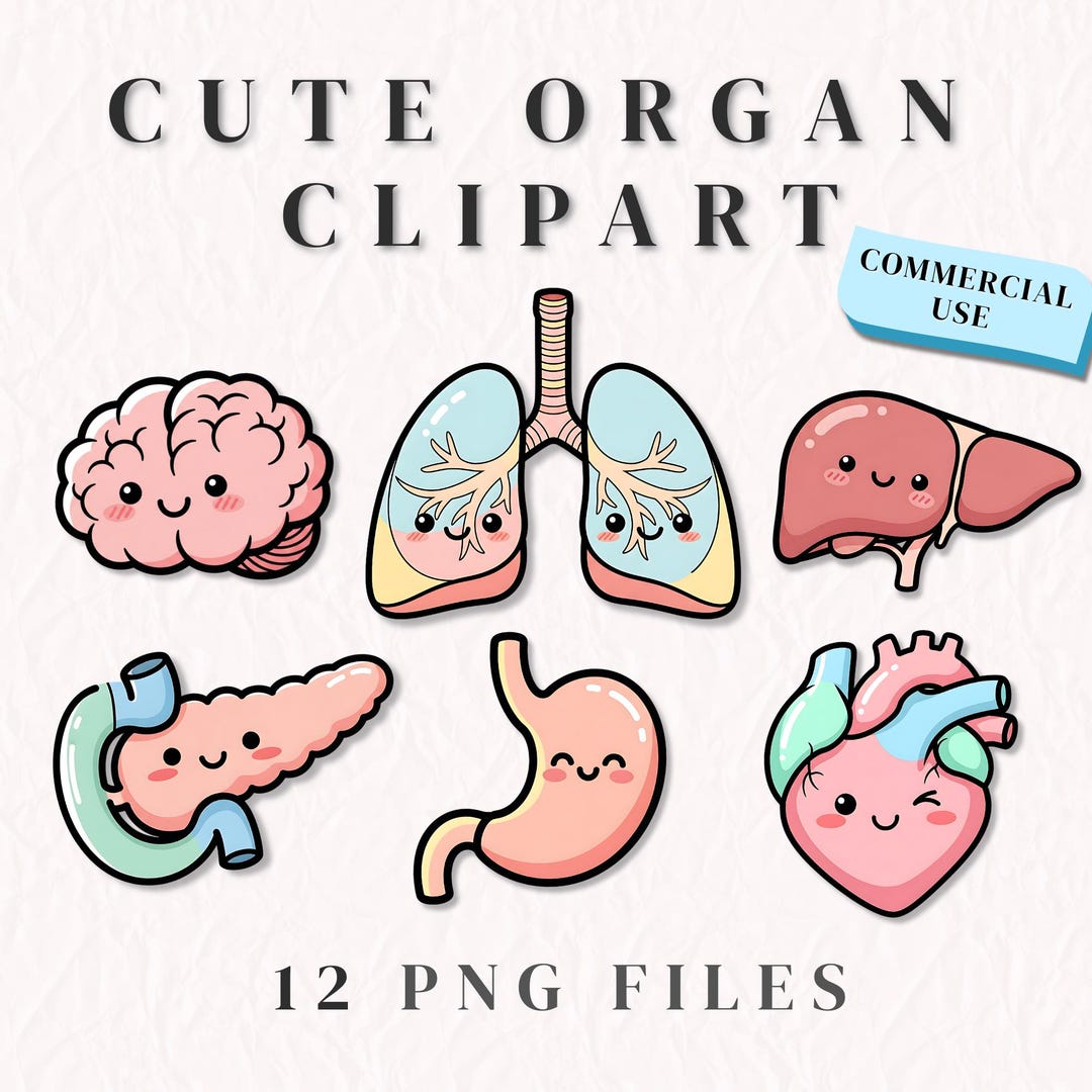 Cute Organ Clipart Bundle Kawaii Anatomy PNG Medical Clipart Nurse ...