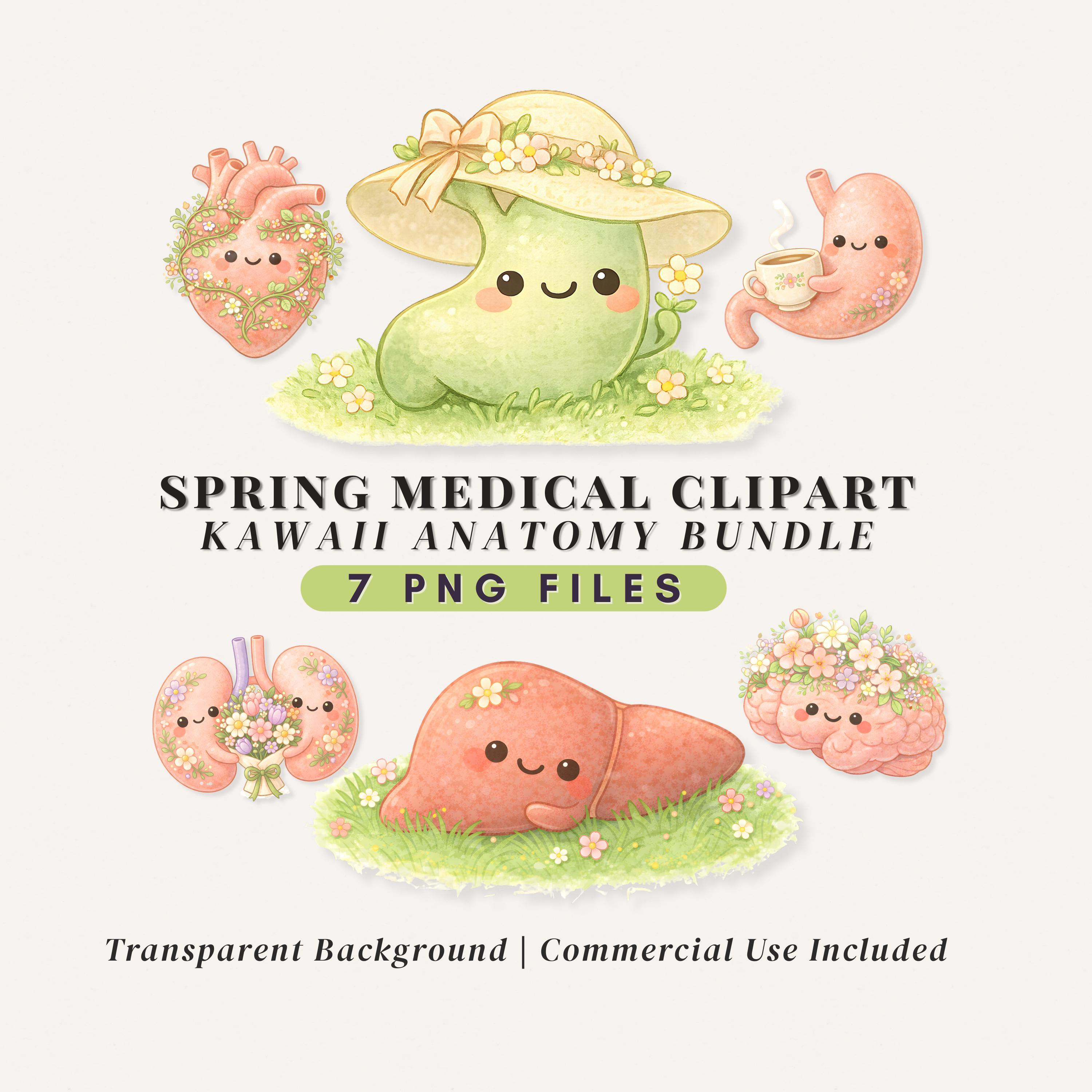 Cute Spring Nurse Clipart Png Bundle, Kawaii Anatomy Organs With ...